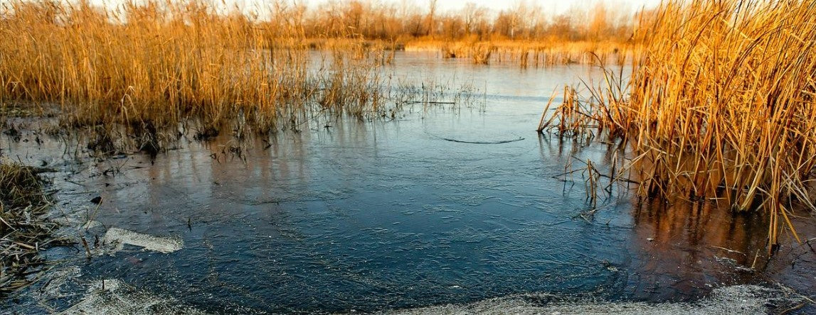 Prepare your pond for the cold season – CanadianPond